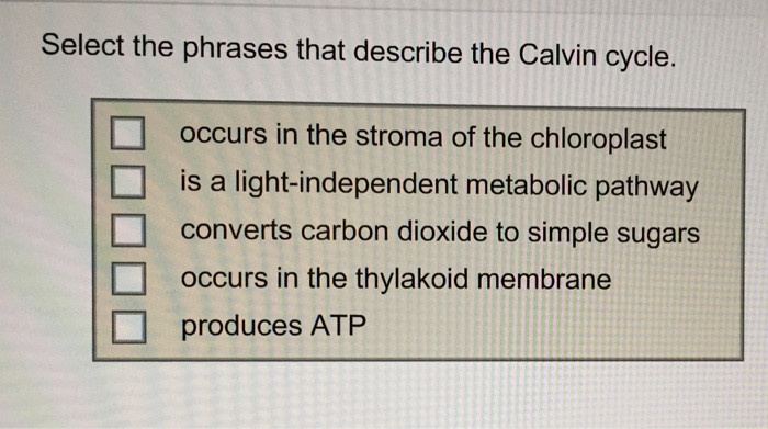 Solved Select the phrases that describe the Calvin cycle. | Chegg.com