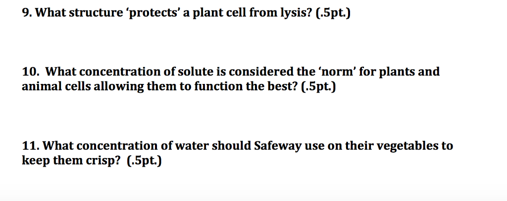 Solved What structure 'protects' a plant cell from lysis? | Chegg.com