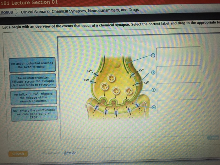Biology Archive | December 22, 2015 | Chegg.com