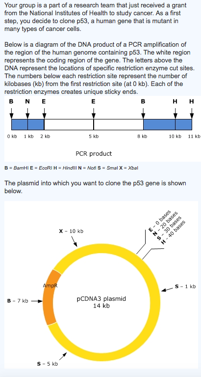 Solved Your group is a part of a research team that just | Chegg.com