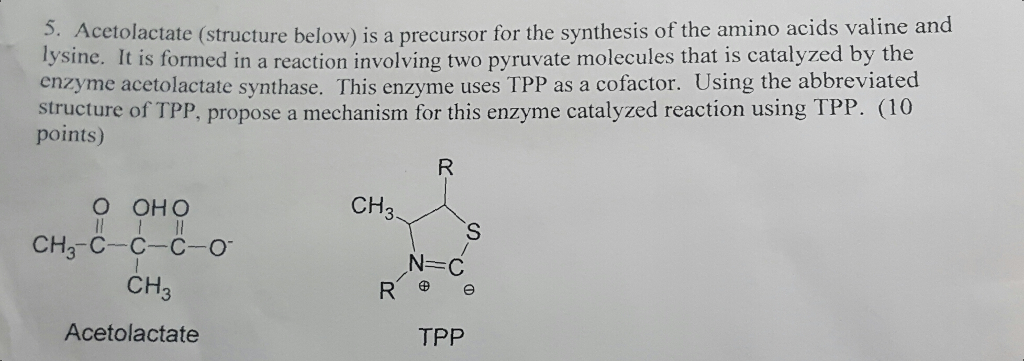 Solved Acetolactate (structure below) is a precursor for the | Chegg.com
