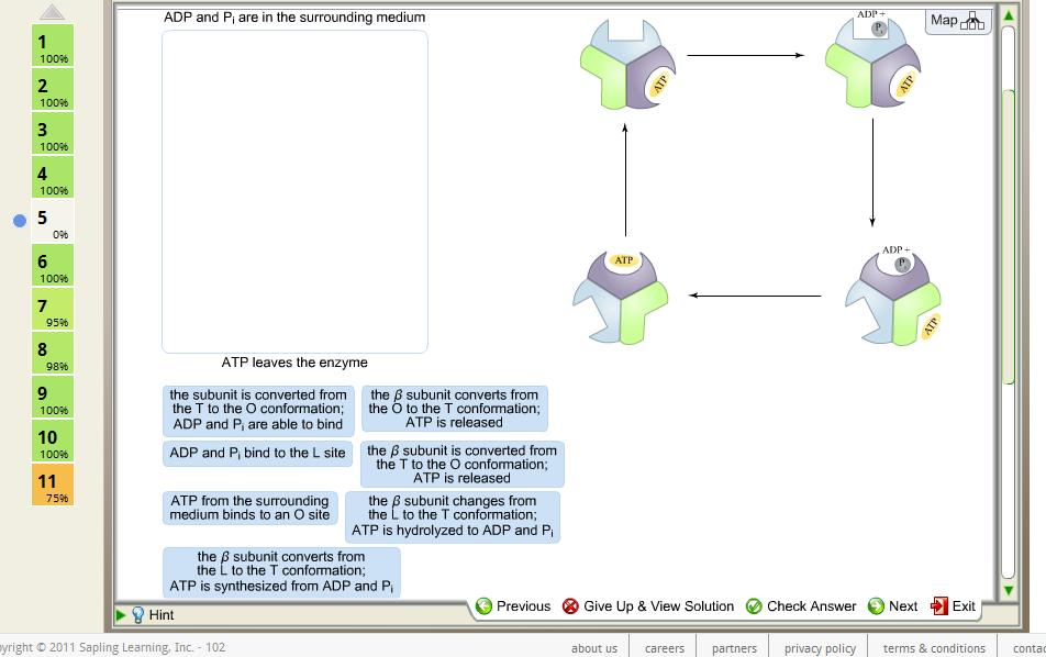 Solved Place three sentences from the list into the correct | Chegg.com