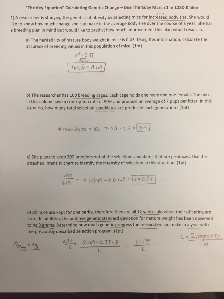 Solved "The Key Equation" Calculating Genetic Change - Due | Chegg.com