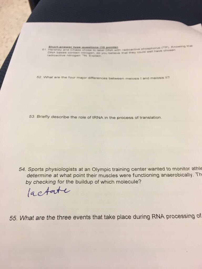 Solved What are the four major differences between I and | Chegg.com