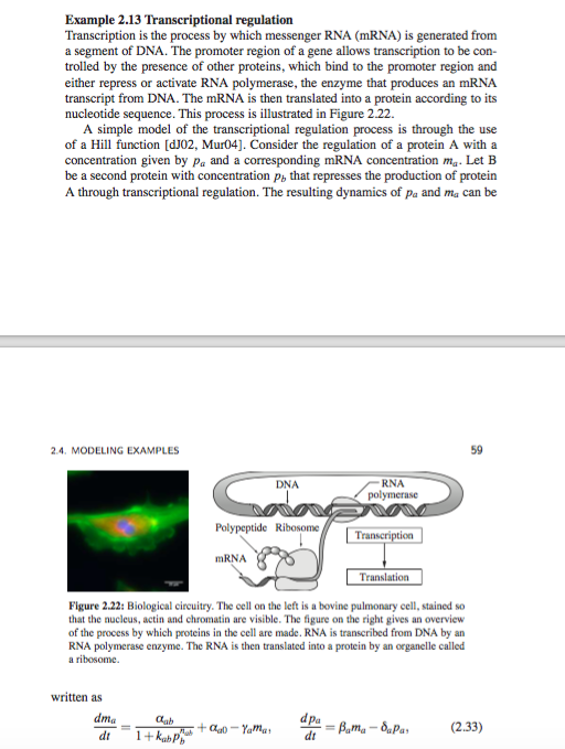 29 (Biological switch) A genetic switch can be formed | Chegg.com