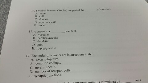 Solved human bio help, multiple choice | Chegg.com