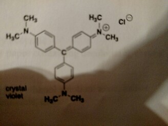 Solved the question is: write a reaction of Chrystal violet | Chegg.com