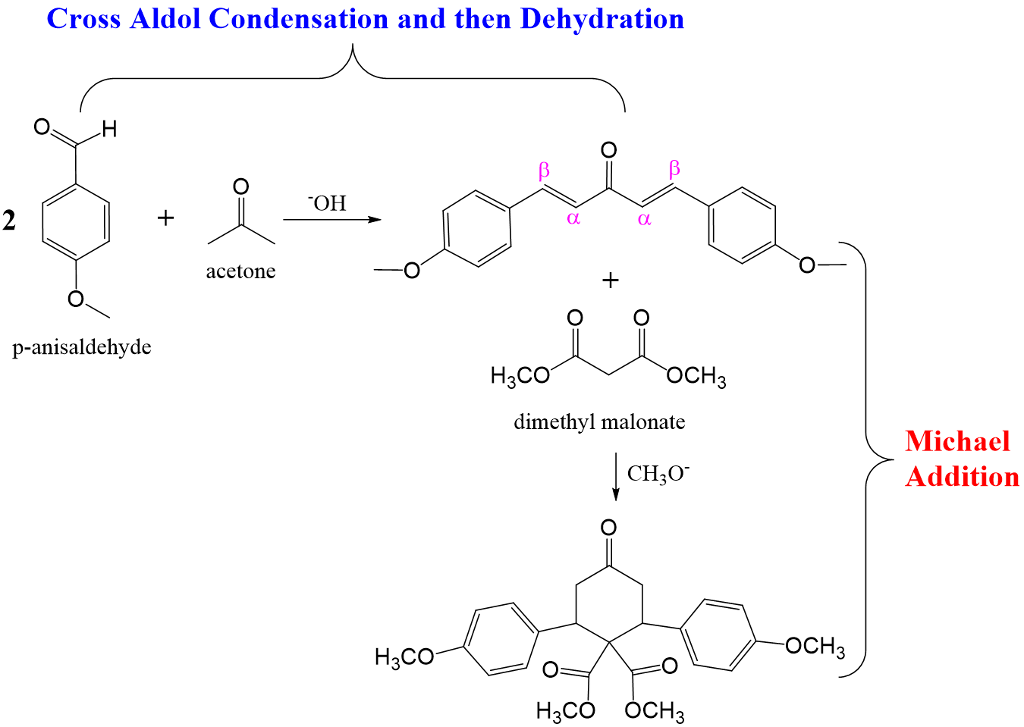 Interpret the IR for both the Aldol and Michael | Chegg.com