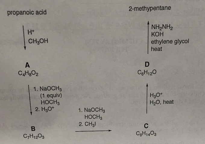 Solved 2-methypentane propanoic acid H+ CH3OH NH2NH2 KOH | Chegg.com