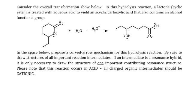 Cyclic Ester Hydrolysis