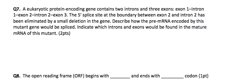 Solved A eukaryotic protein-encoding gene contains two | Chegg.com