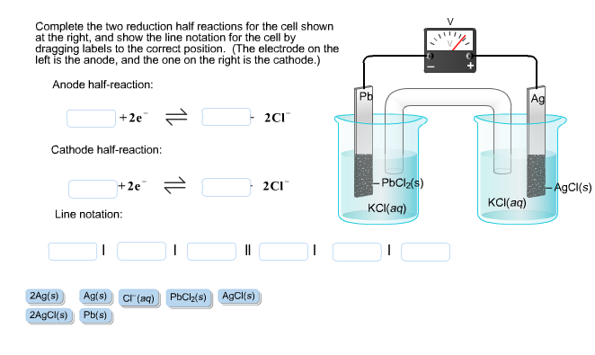Solved Complete the two reduction half reactions for the | Chegg.com