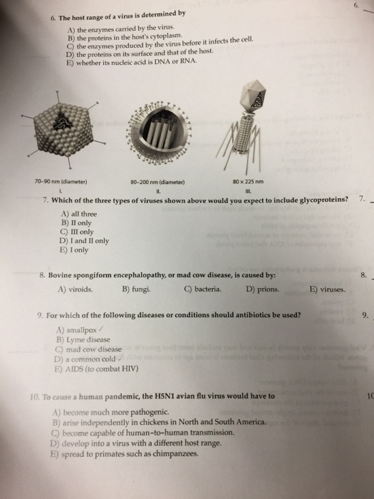 Solved bacteria and viruses | Chegg.com