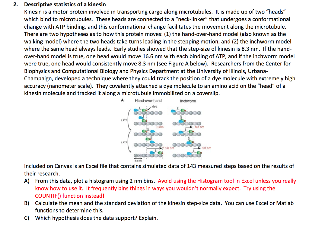 2. Descriptive statistics of a kinesin Kinesin is a | Chegg.com