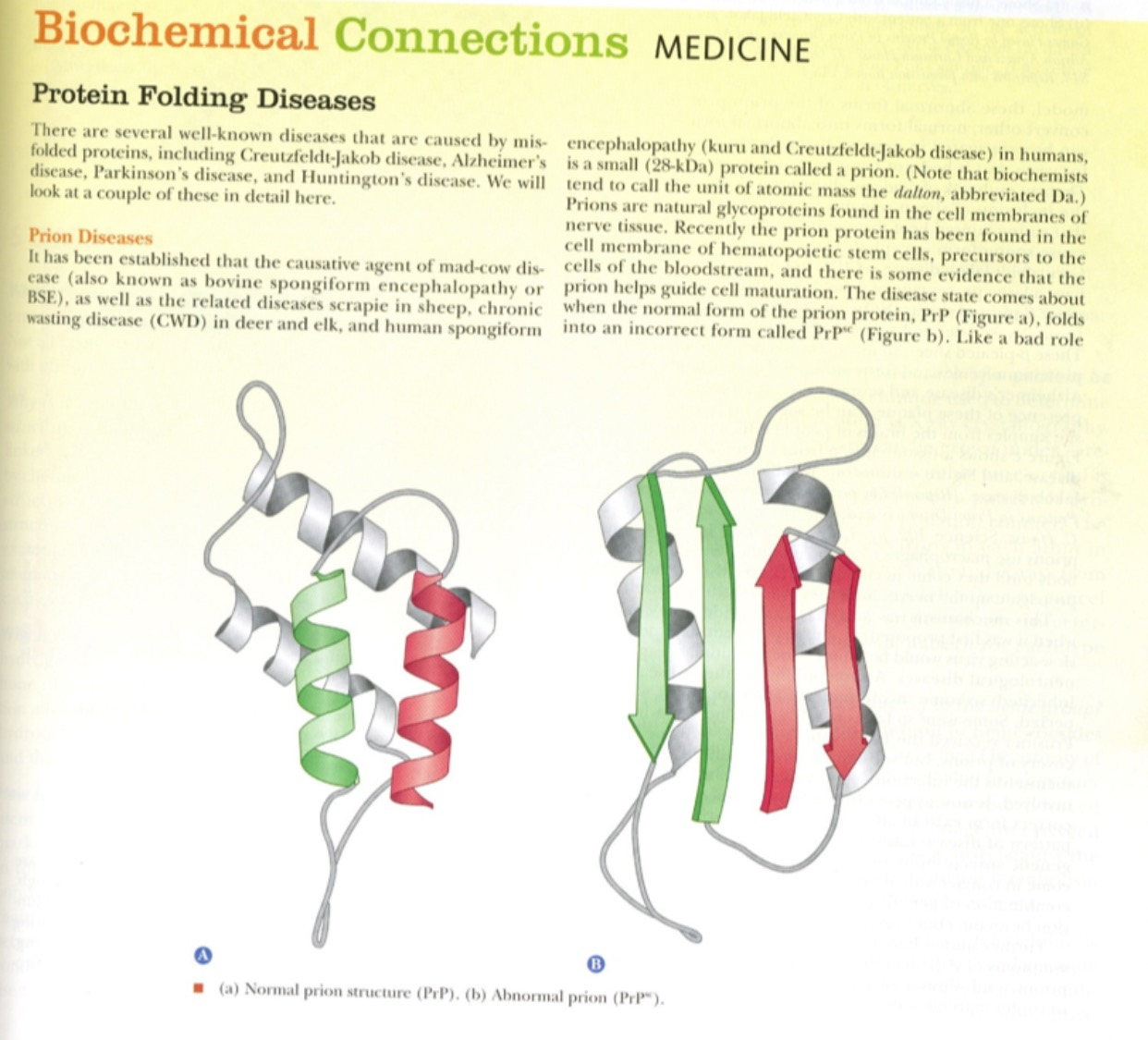 Solved Biochemical Connections MEDICINE Protein Folding | Chegg.com