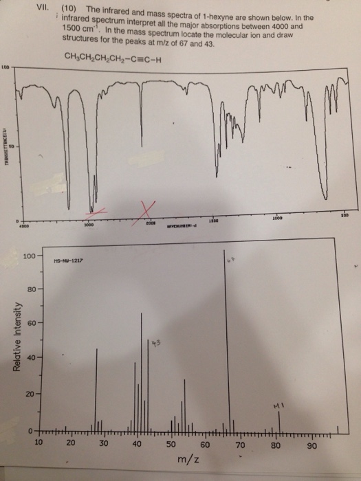 Solved In the infrared spectrum interpret all the major | Chegg.com