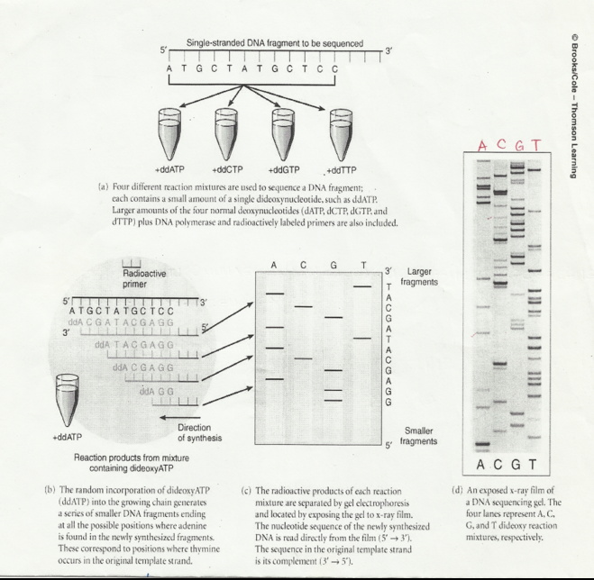Four different reaction mixtures are used to | Chegg.com