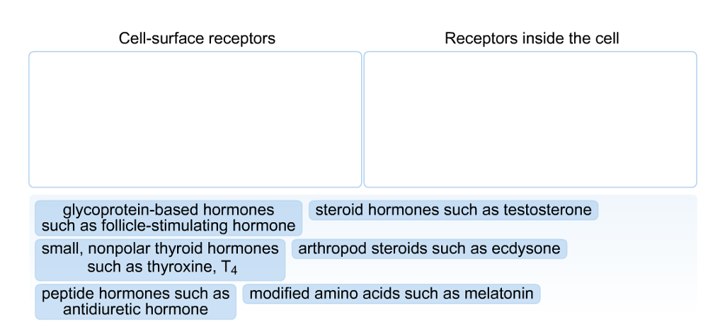 Solved Cell-surface receptors Receptors inside the cell | Chegg.com