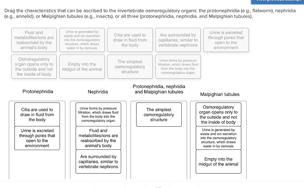Solved Drag the characteristics that can be ascribed to the | Chegg.com