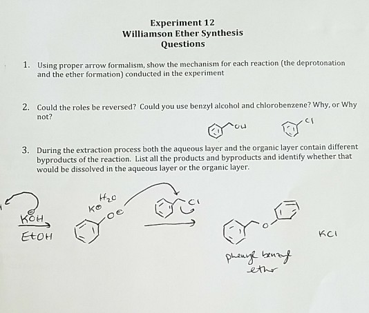Solved Experiment 12 Williamson Ether Synthesis Questions | Chegg.com
