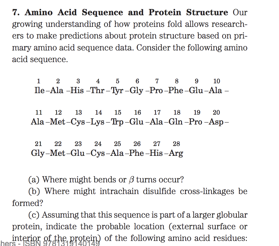 Solved 7. Amino Acid Sequence and Protein Structure Our | Chegg.com