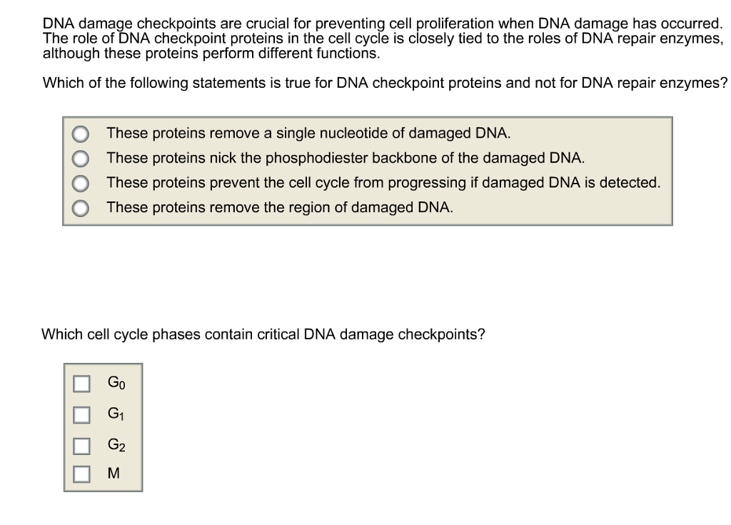 Solved DNA damage checkpoints are crucial for preventing | Chegg.com