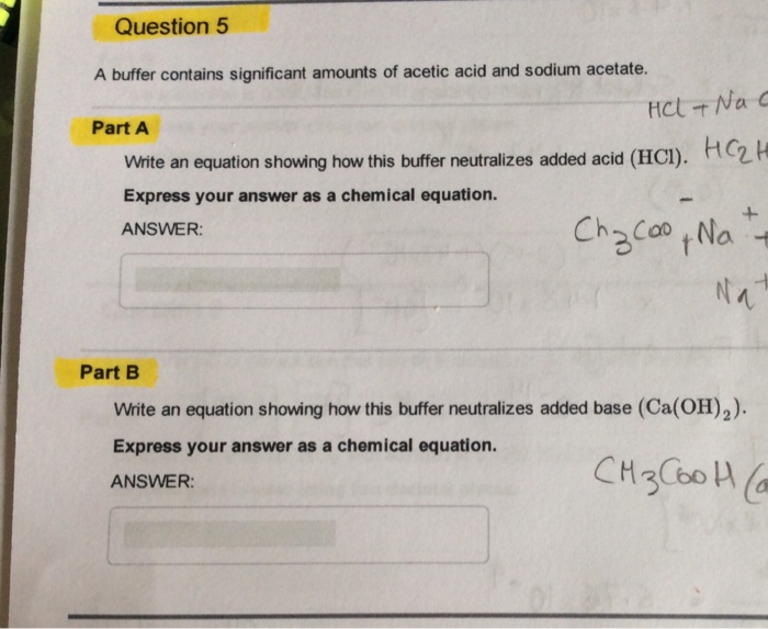 Solved Question 5 A Buffer Contains Significant Amounts Of