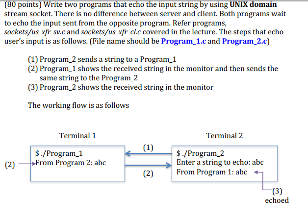 (80 points) Write two programs that echo the input | Chegg.com