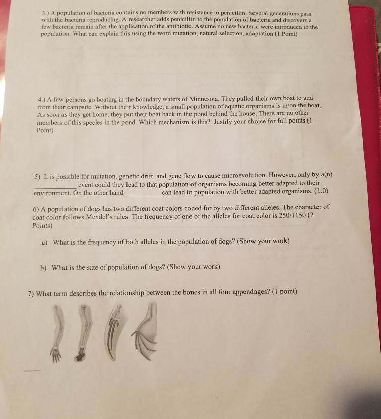 Solved 1. As with Lima fur color, tail length is an | Chegg.com