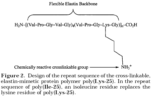 Solved Elastin like polypeptide (ELP) has interesting | Chegg.com