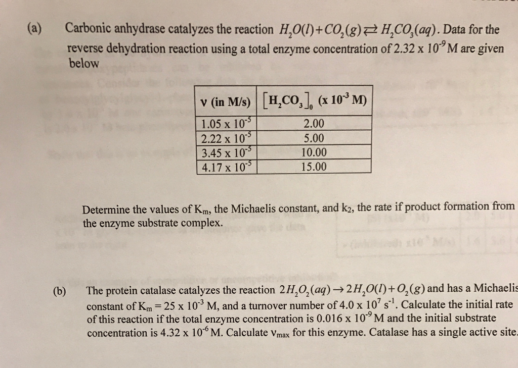 Solved Carbonic anhydrase catalyzes the reaction H_20(l) + | Chegg.com
