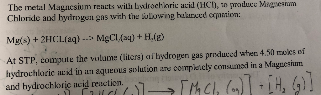 Solved The metal Magnesium reacts with hydrochloric acid | Chegg.com