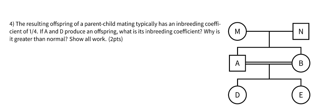 Solved 4) The resulting offspring of a parent-child mating | Chegg.com