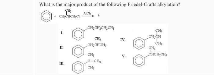 Solved Which of the following is the electrophile that | Chegg.com