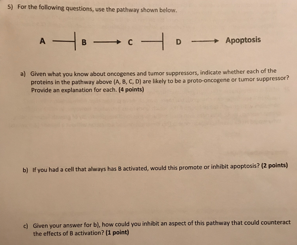 Solved 5) For the following questions, use the pathway shown | Chegg.com