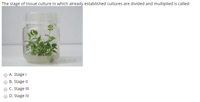 Solved The stage of tissue culture in which already | Chegg.com