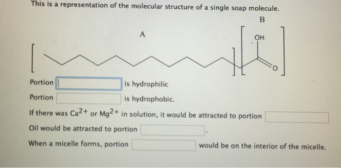 Soap Molecule Structure