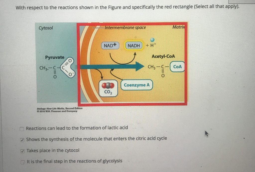 Solved Question 17 3 Points Save Answer 1 3 2 5 4 In The Chegg