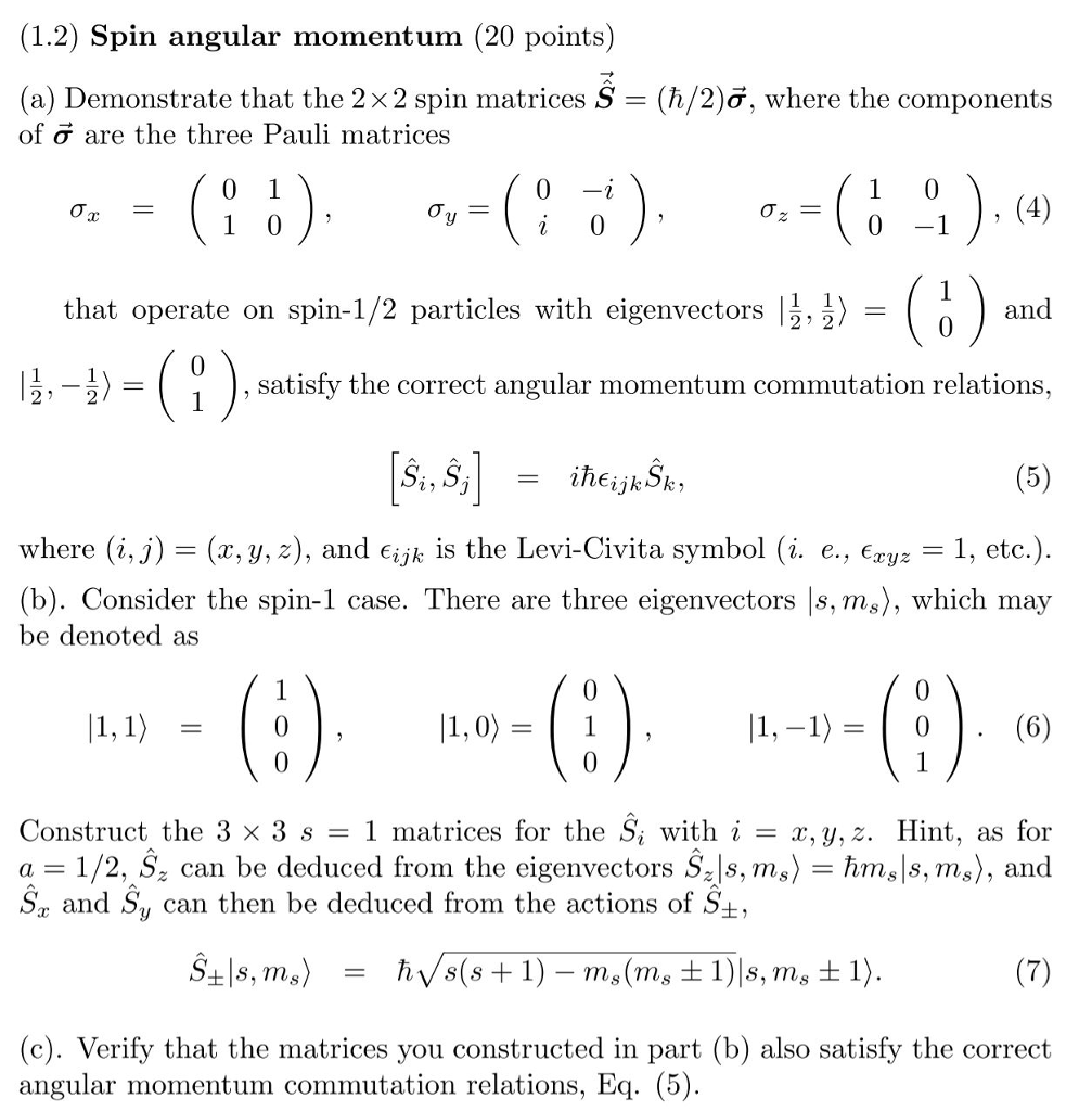 Solved (1.2) Spin angular momentum (20 points) (a) | Chegg.com