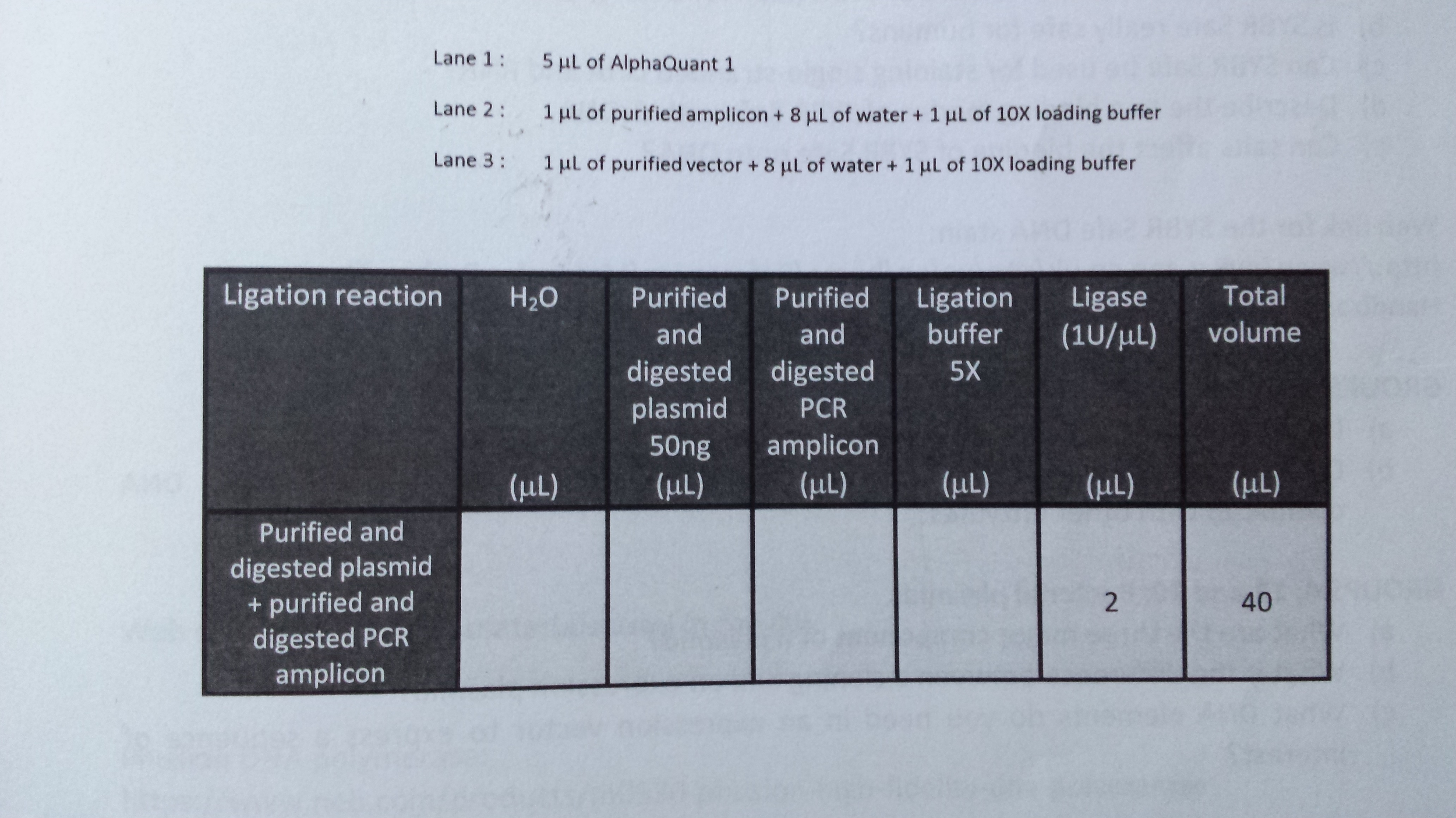 Solved Molecular Biology Question | Chegg.com