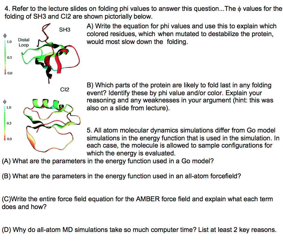 Solved 4. Refer to the lecture slides on folding phi values | Chegg.com