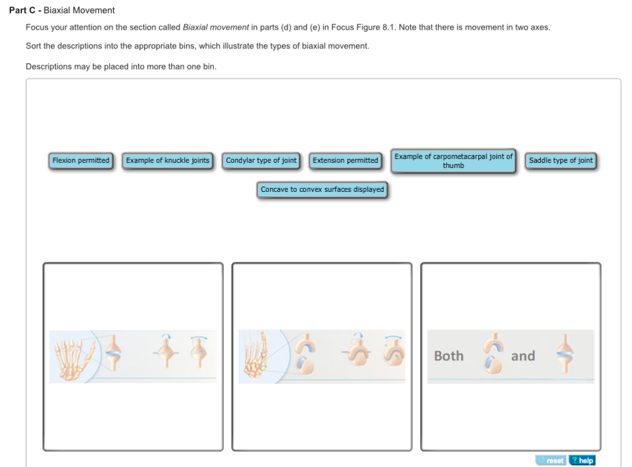 Solved Focus your attention on the section called Biaxial | Chegg.com