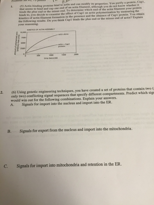 Actin-binding proteins bind to actin and can modify | Chegg.com