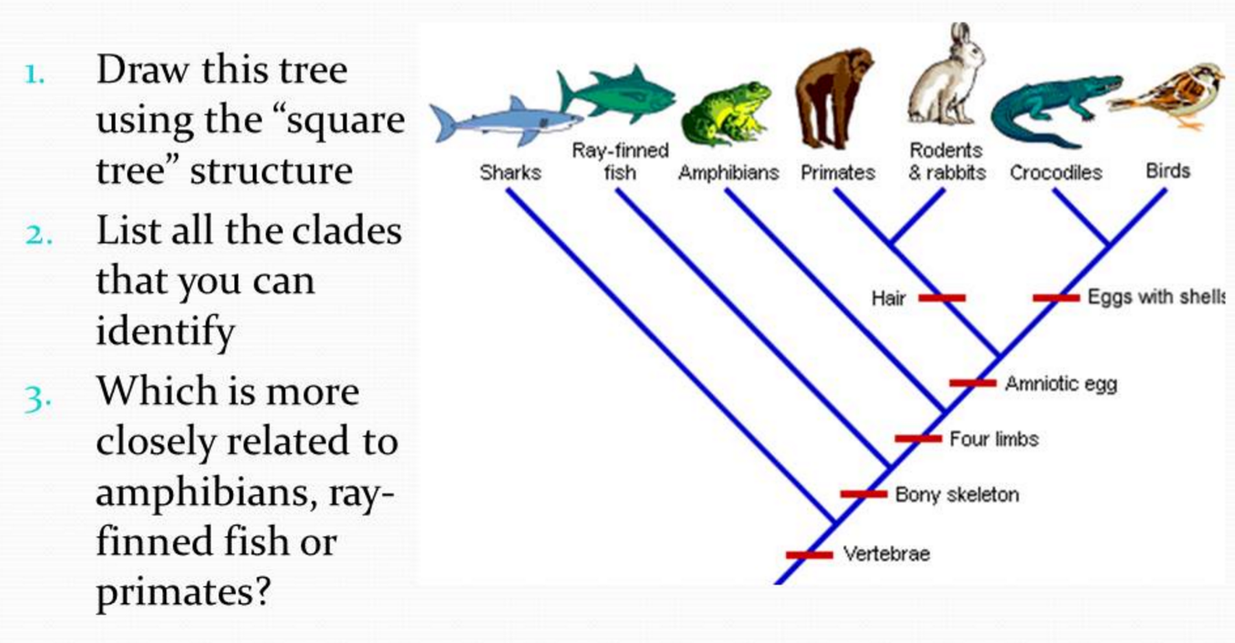 Solved Draw this tree using the "square tree" structure List | Chegg.com