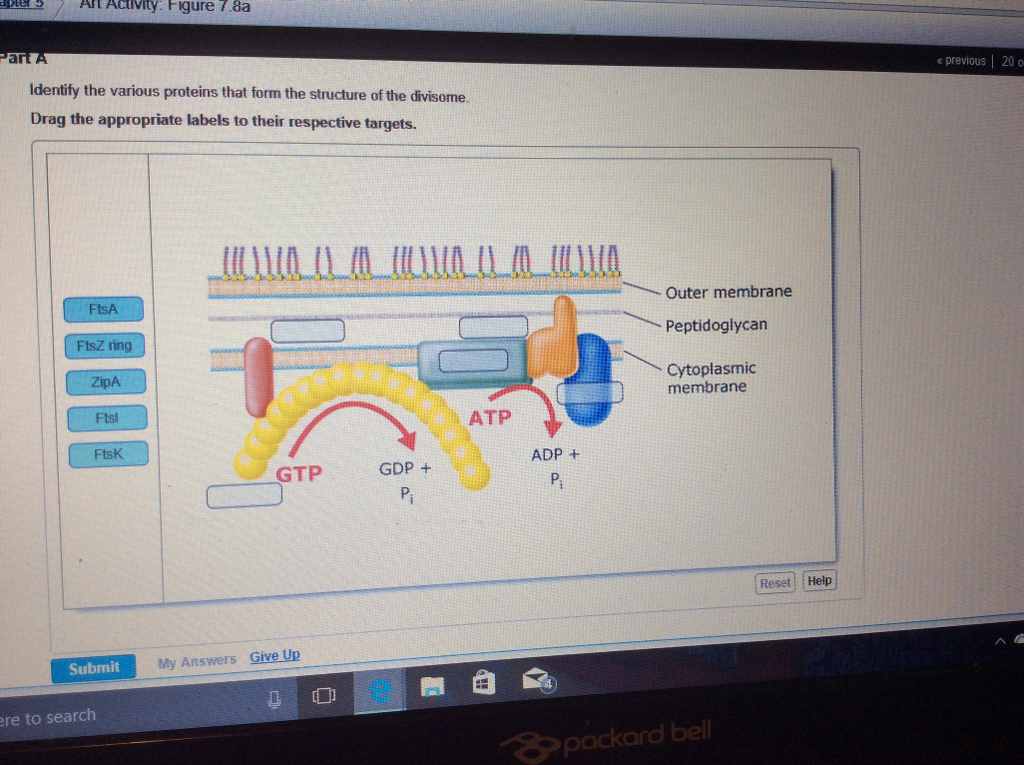 Solved ld AITACINity: Figure 7.8a art previous | 200 | Chegg.com