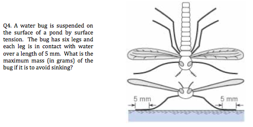 Solved A water bug is suspended on the surface of a pond by | Chegg.com