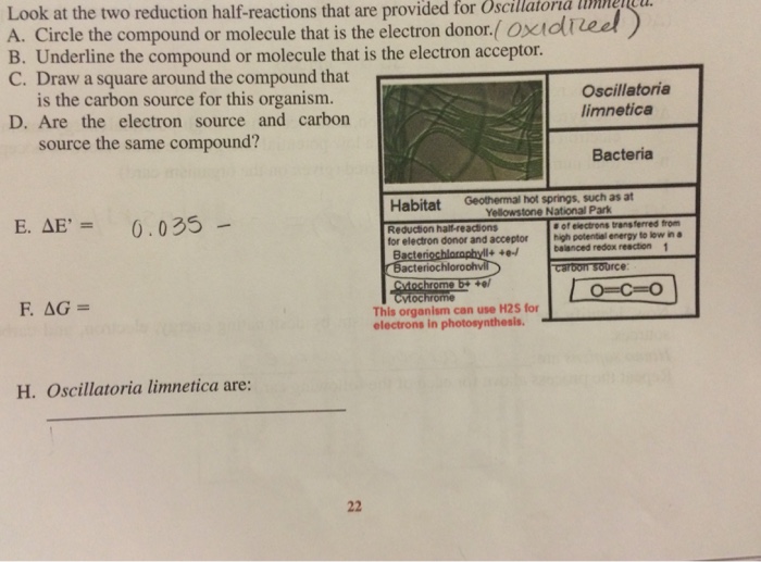 Solved Look at the two reduction half-reactions that are | Chegg.com