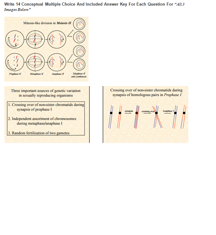 Solved Note: Write 14 Conceptual Multiple Choice And | Chegg.com