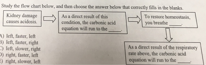 Solved Study the flow chart below, and then choose the | Chegg.com