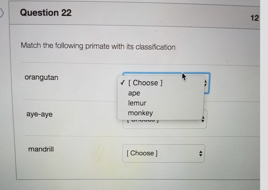 Solved Match the following primate with its classification | Chegg.com